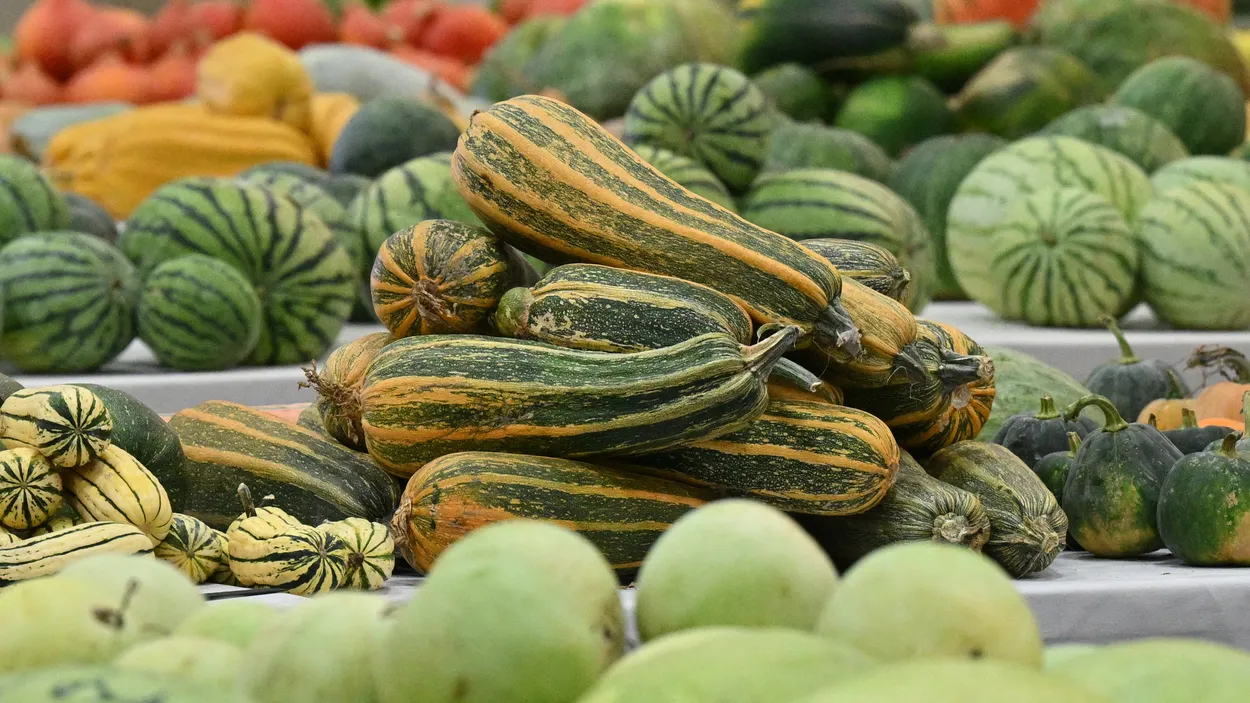 Gaaf land deel 3278: gezond eten voor grote groep onbetaalbaar - Joop ...