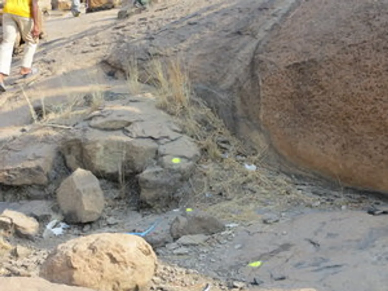 Nico's nieuws 13: De dood als een gele stip - Joop - BNNVARA