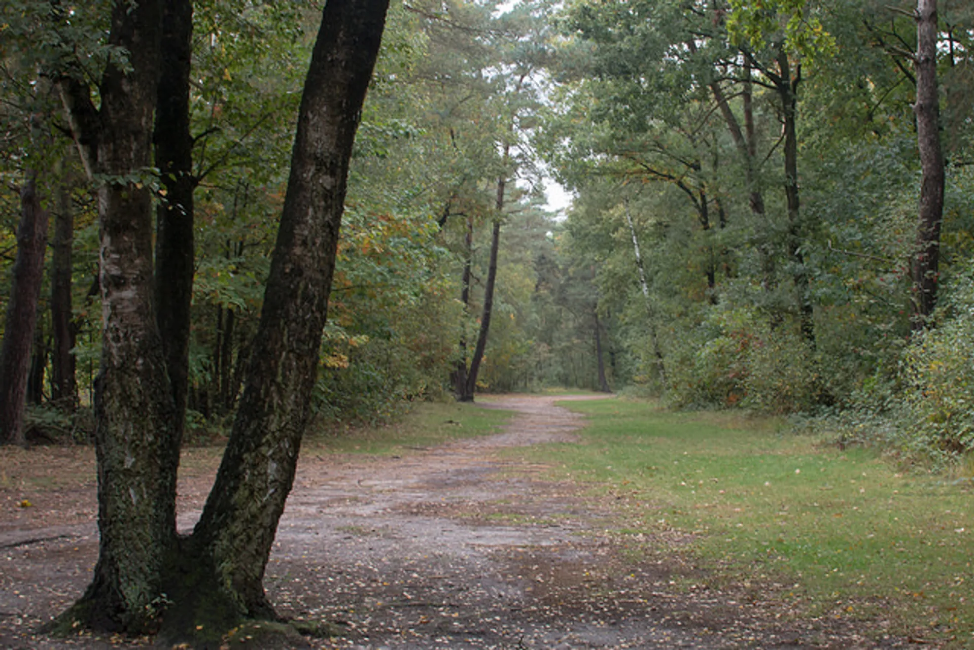 Tragedie Anne Faber legt crisis geestelijke gezondheidszorg bloot ...